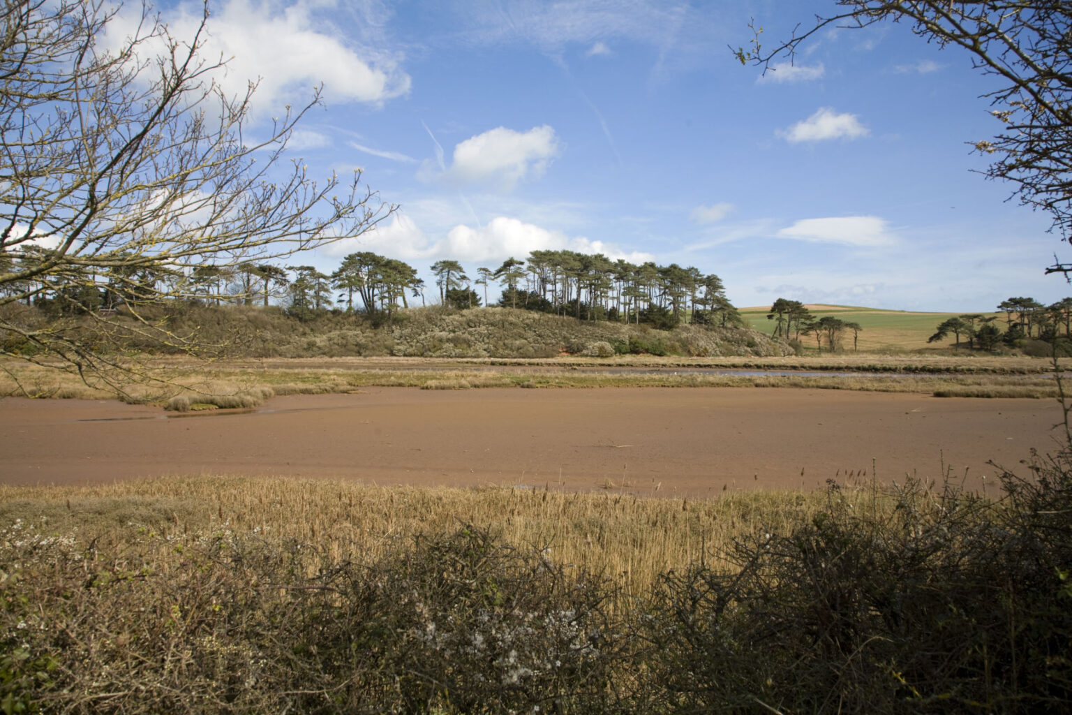 Home | Clinton Devon Estate - Heaths to Sea