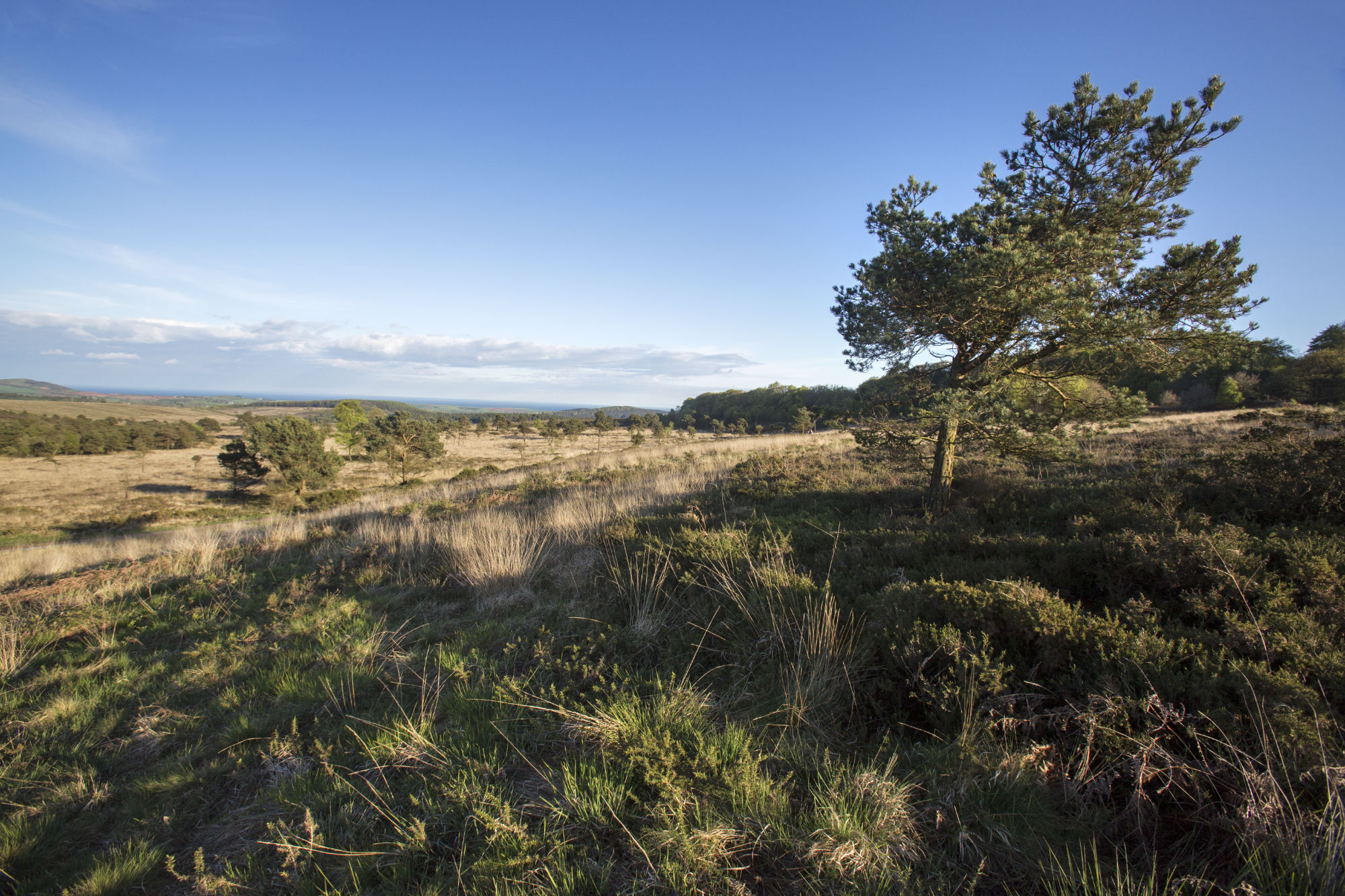 Home | Clinton Devon Estate - Heaths to Sea