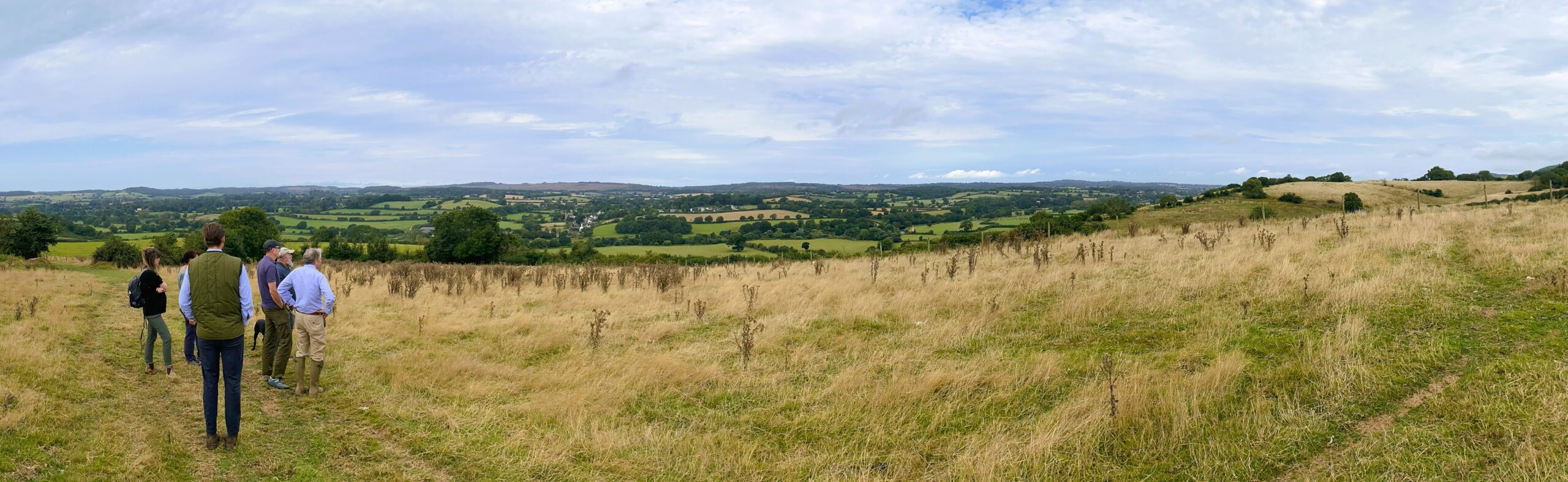 Walking with Derek Gow | Clinton Devon Estate - Heaths to Sea