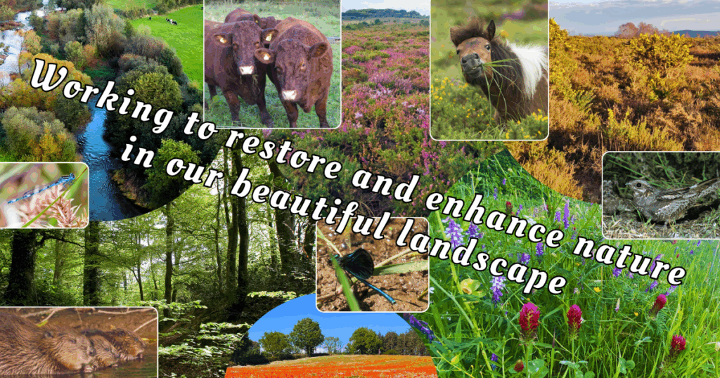 Home | Clinton Devon Estate - Heaths to Sea